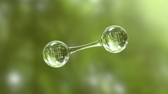 ACME Group to build 400,000-tonne green ammonia plant at Tata SEZ in Odisha