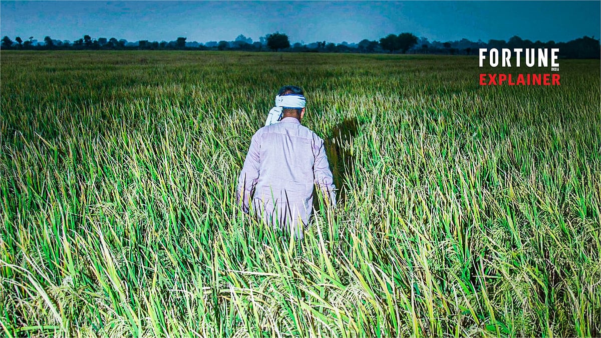 Why there is a debate over Minimum Support Price (MSP) for agriculture ...