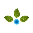 Anupam Rasayan India Ltd - Fortune India